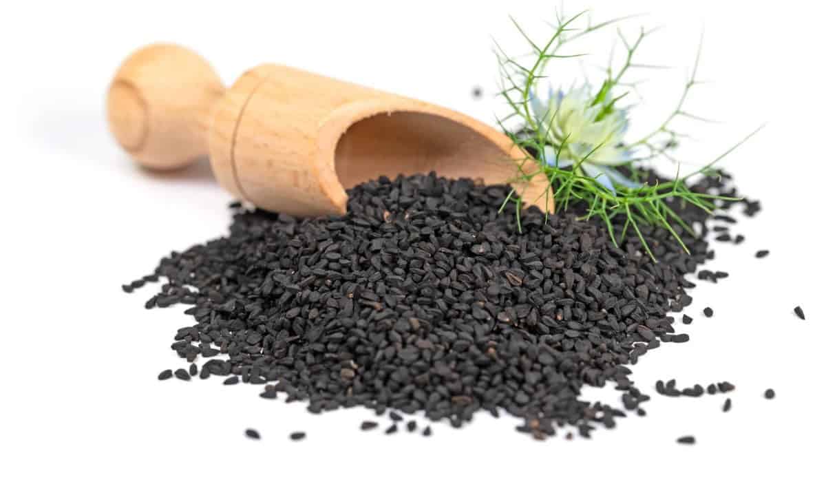 Zwarte Komijn Olie: Alles over Gebruik en Bijwerkingen